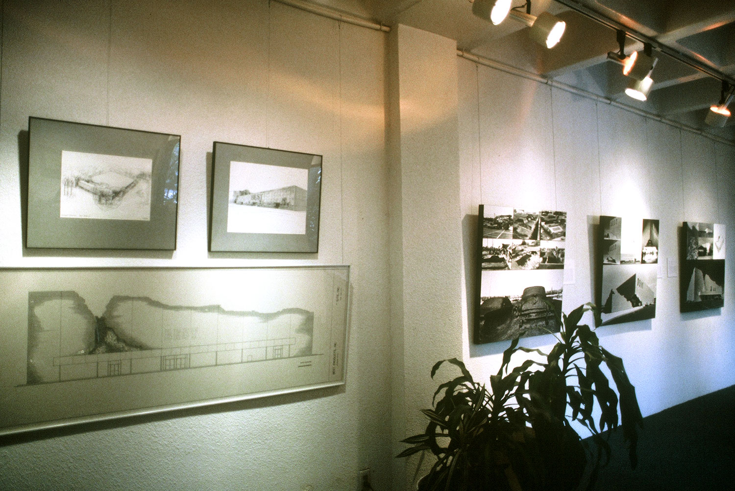 South Florida’s two New Incredible SITES | ArtSpace Virginia Miller ...