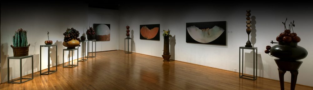 exhibitions | ArtSpace Virginia Miller Galleries