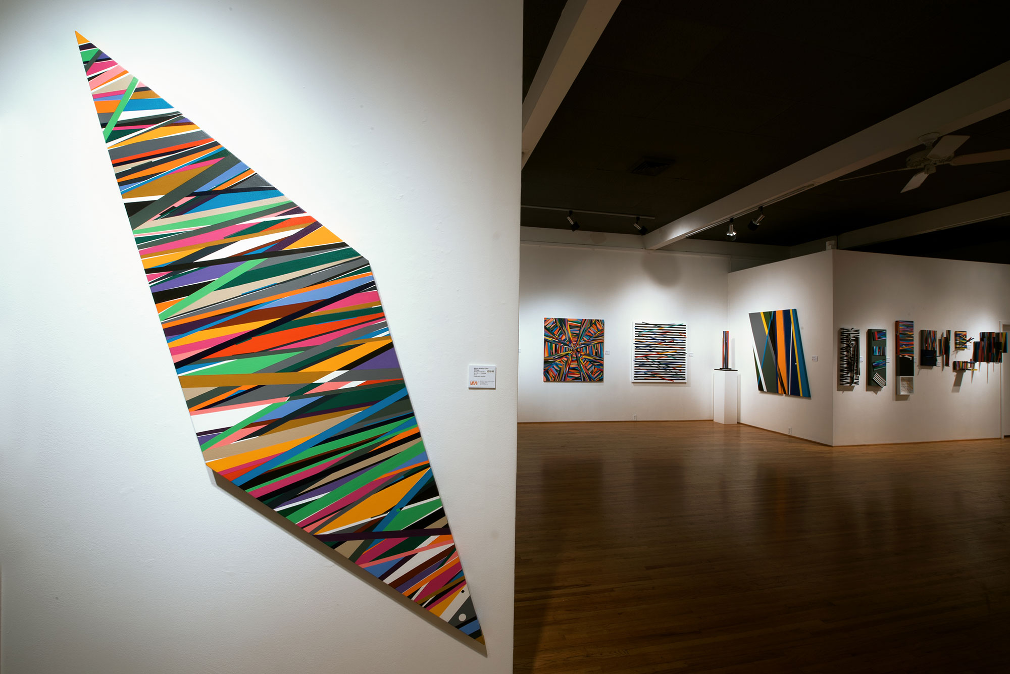 Must-See Art Guide: Miami by artnet | ArtSpace Virginia Miller Galleries