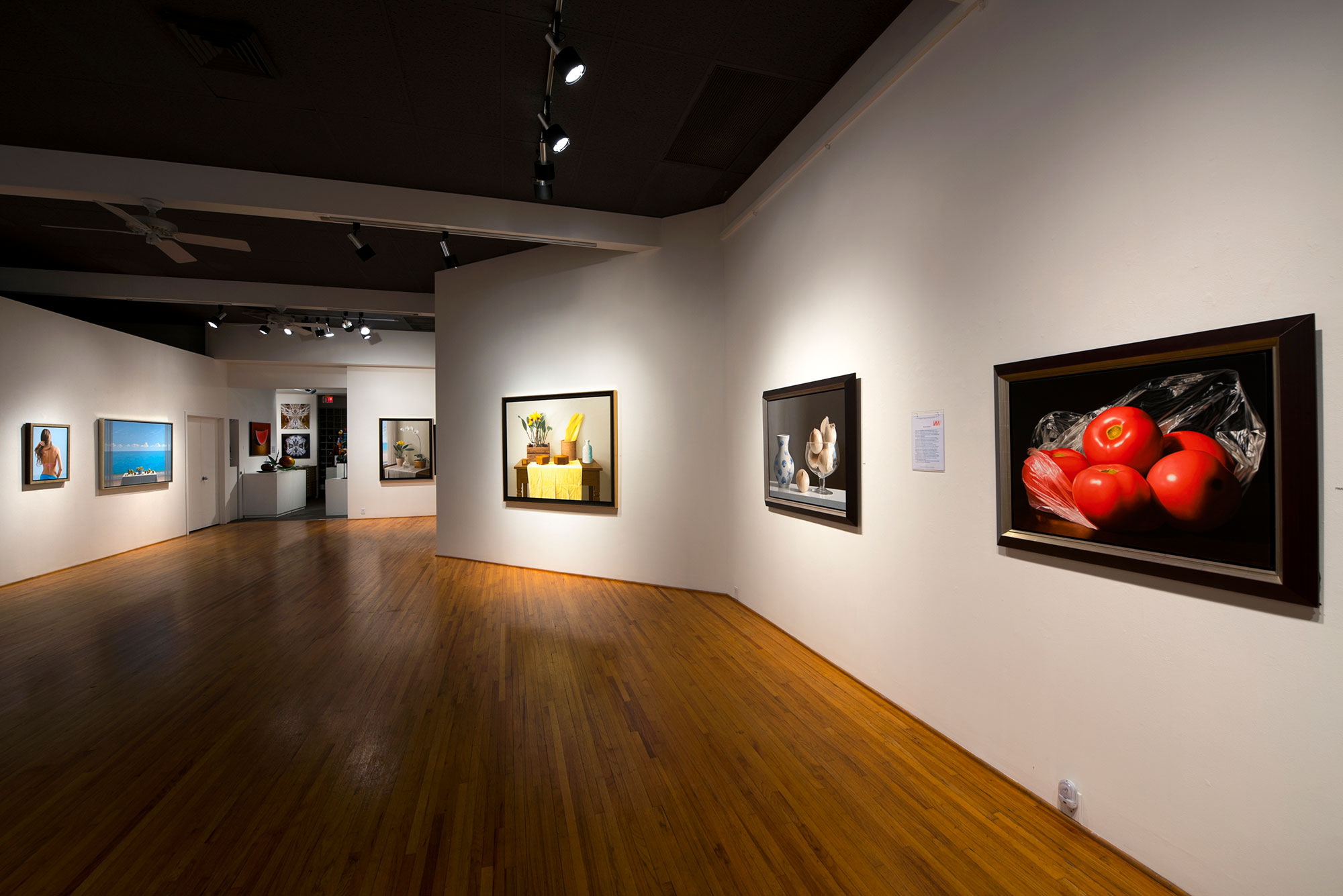 DSC_3458 | ArtSpace Virginia Miller Galleries