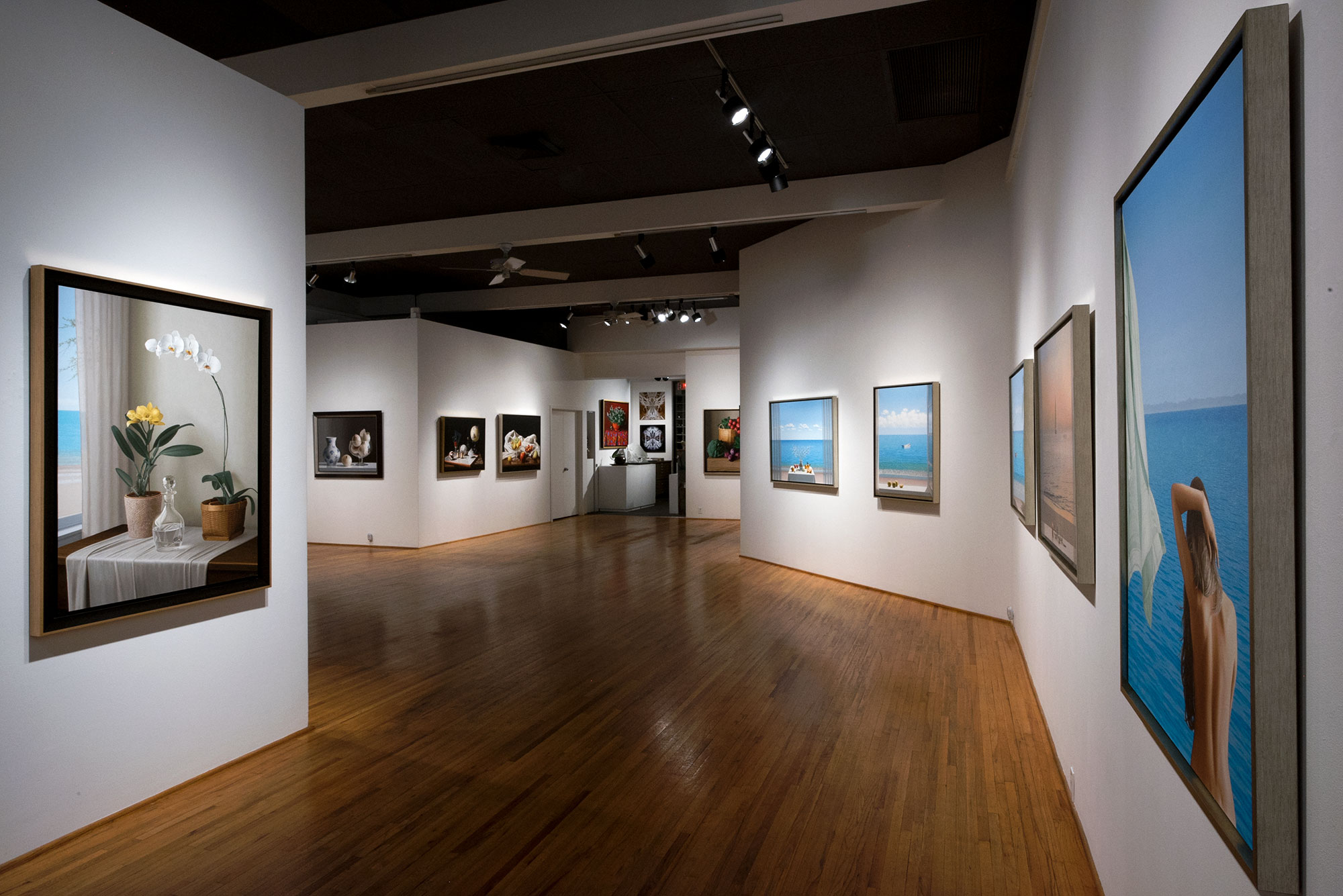 homevm | ArtSpace Virginia Miller Galleries