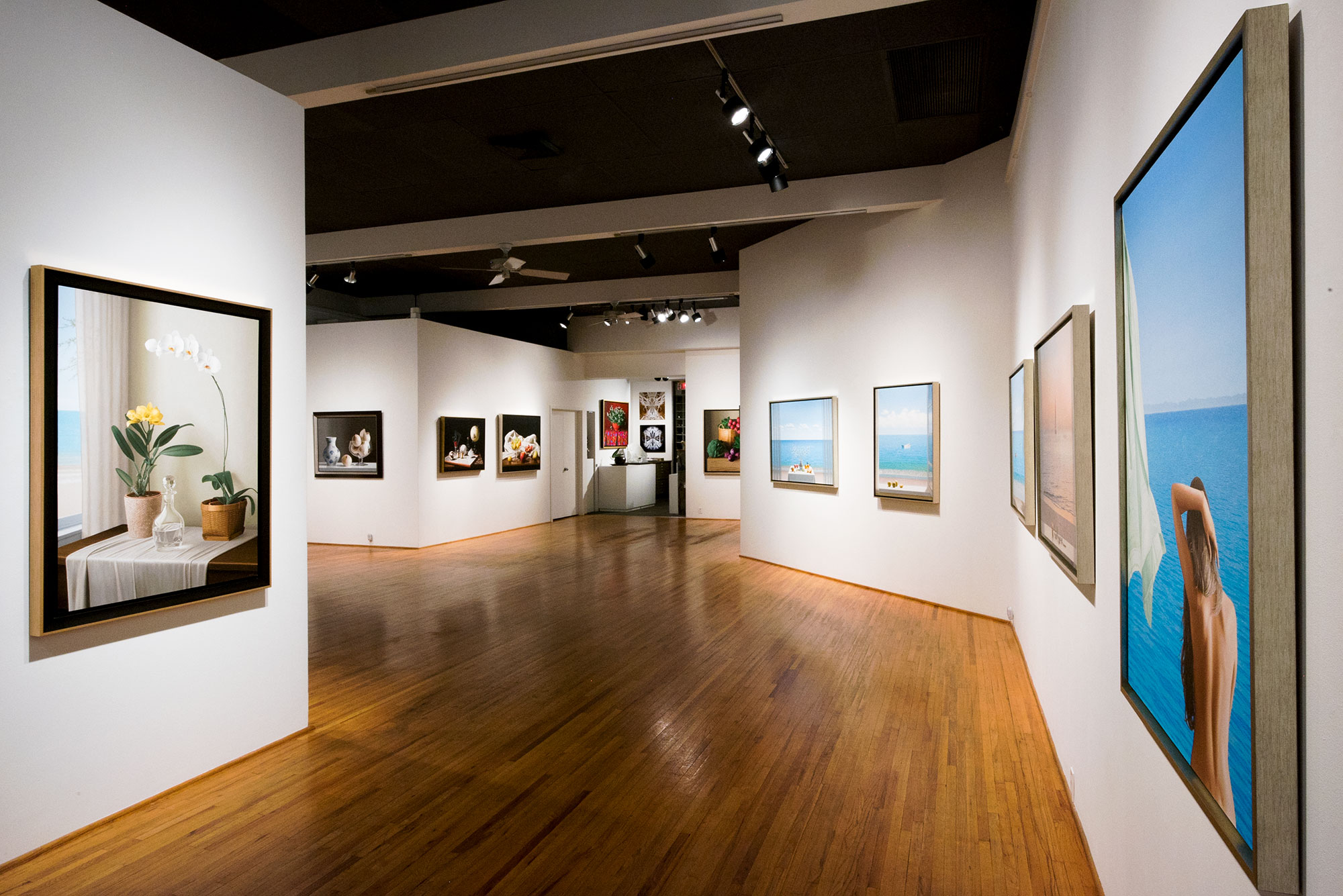 homevm | ArtSpace Virginia Miller Galleries