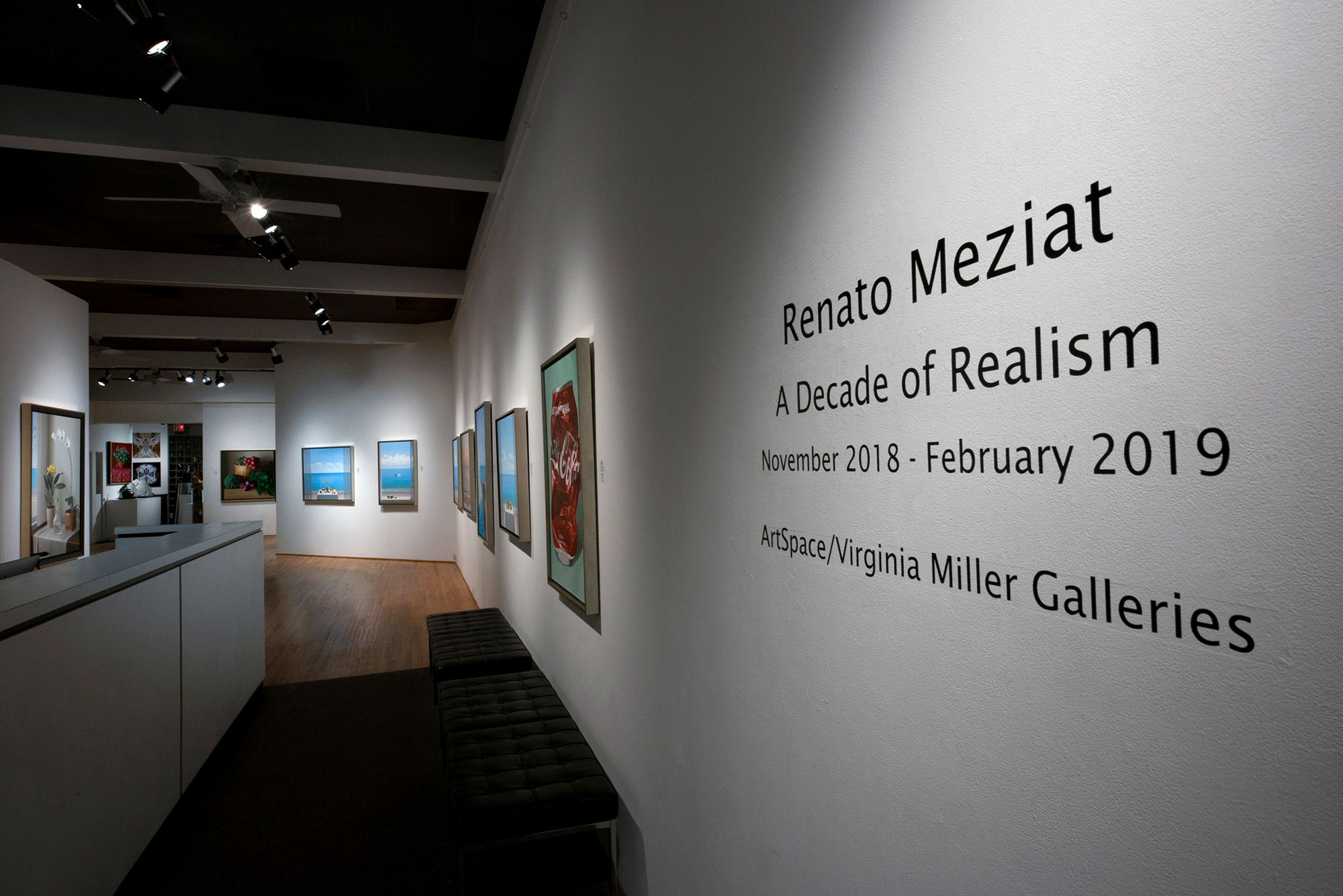 DSC_4110 | ArtSpace Virginia Miller Galleries