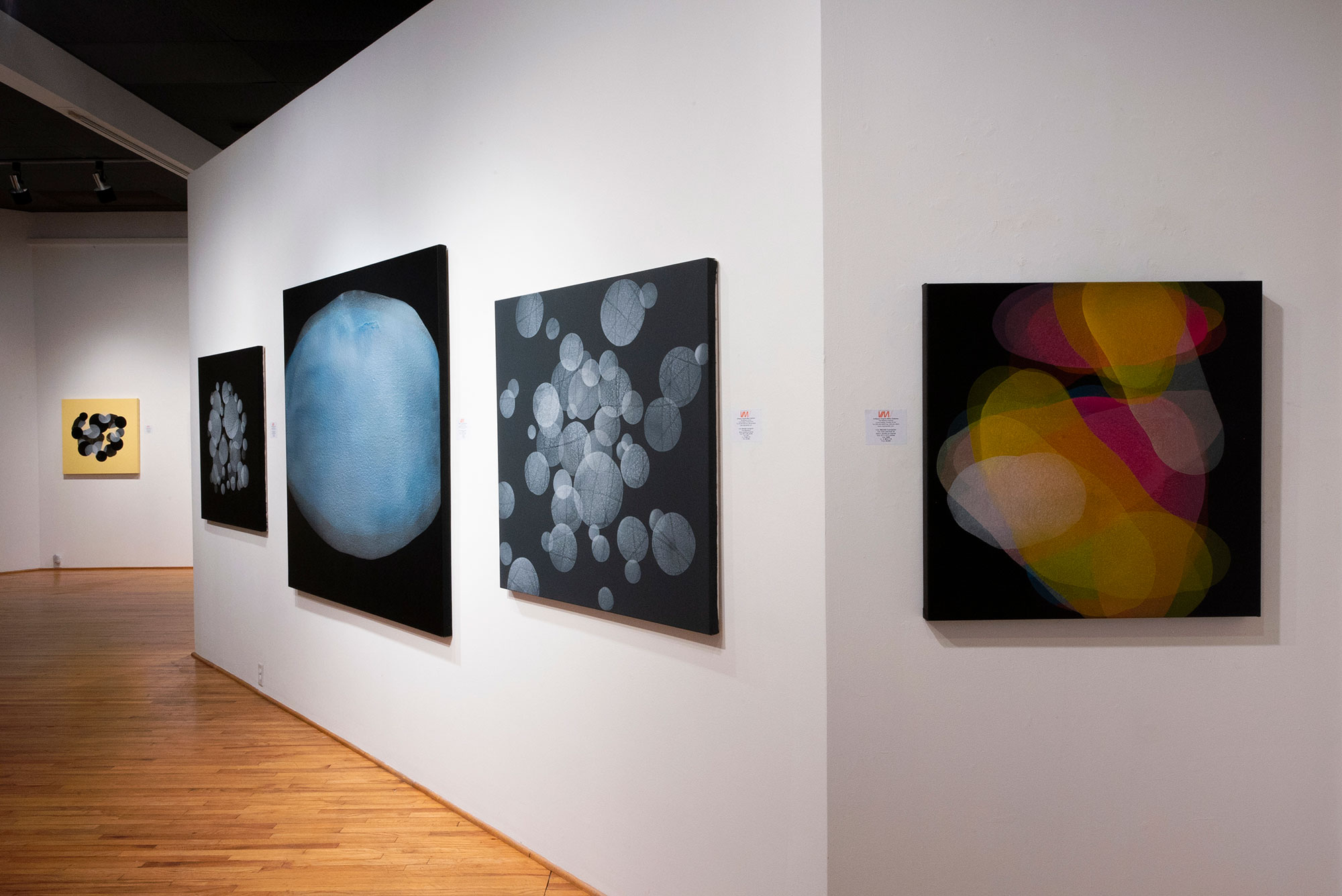 DSC_4550 | ArtSpace Virginia Miller Galleries