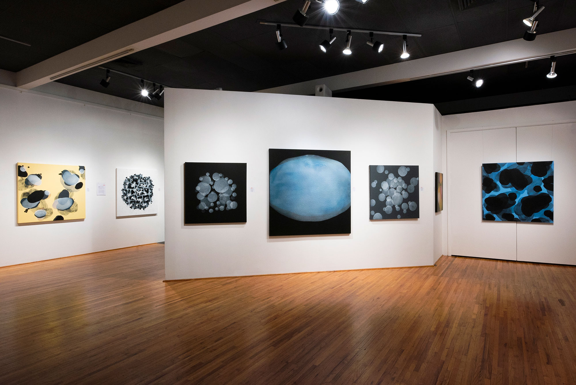 DSC_4529 | ArtSpace Virginia Miller Galleries