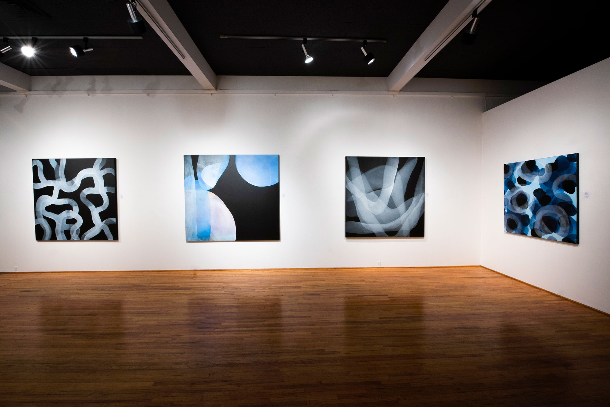 DSC_4556 | ArtSpace Virginia Miller Galleries